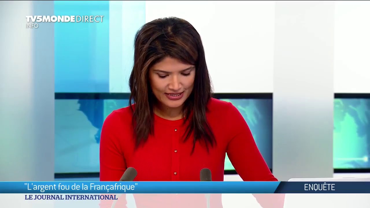 "l'argent fou de la Frannçafrique" la BD du journaliste Xavier Harel ...