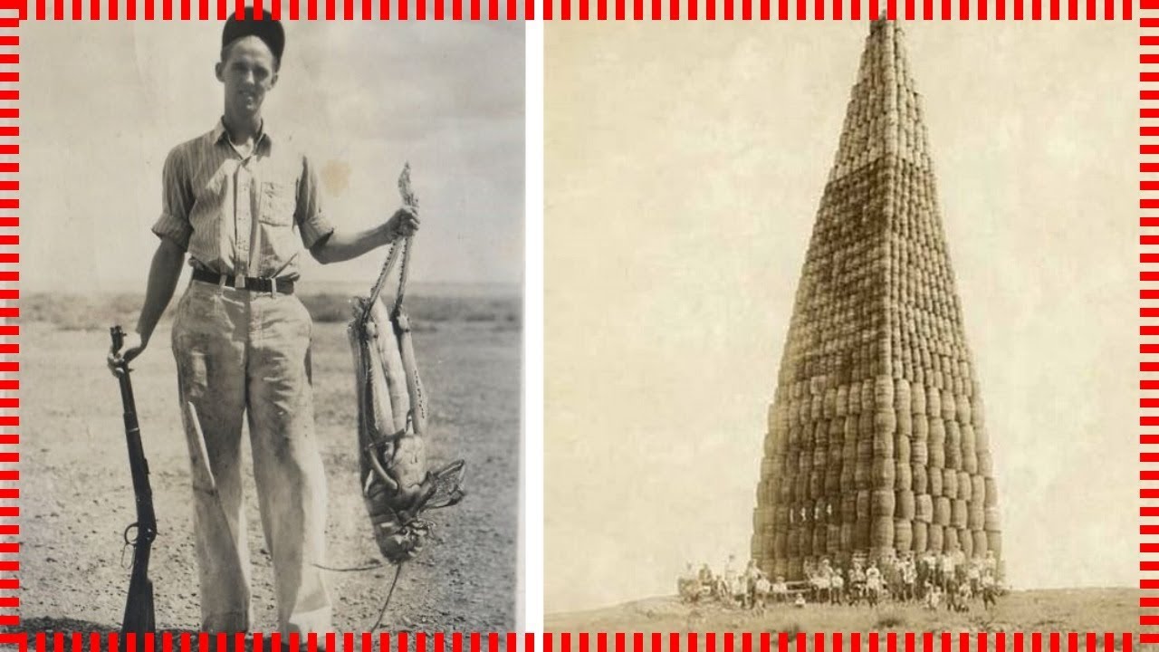 Rare Historical Photos of Our Amazing Past - YouTube