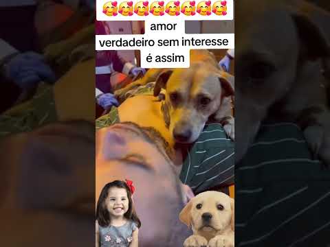 31 de dezembro de 2025