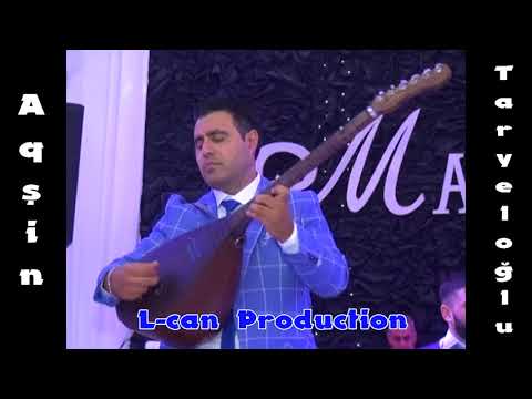 Aqsin Tariyeloglu Aqshini qurupu toyda Heyati reqsi