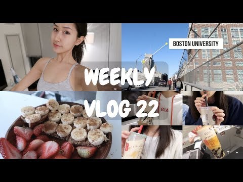 WEEKLY VLOG 22 | 美国大学日常（波士顿大学）+3种最爱奶茶+伯克利春晚 - YouTube