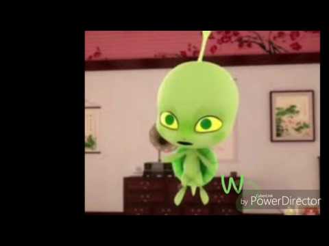 Kwamiler ve Adları (AÇIKLAMAYI OKU )