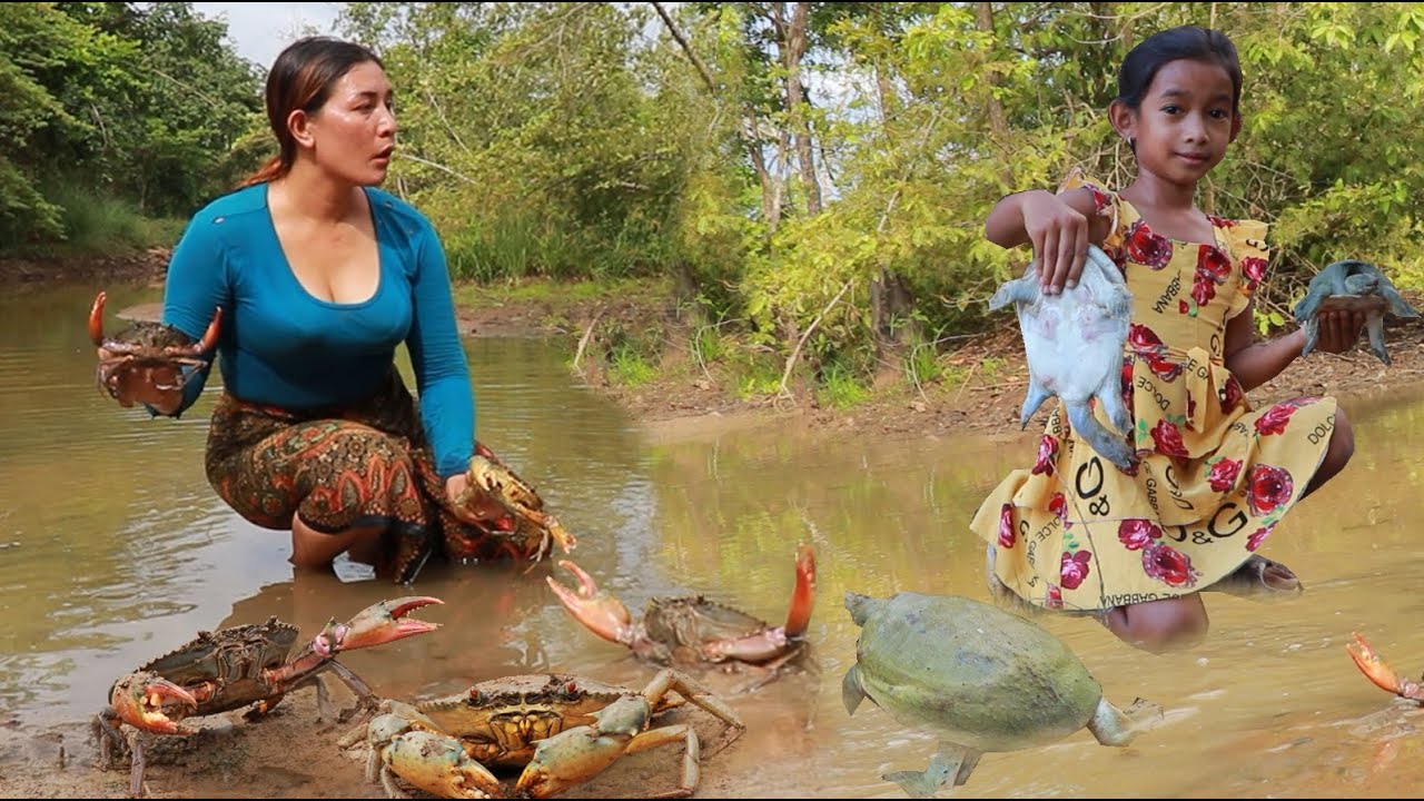 Catch blue crab & Turtle for food-Stir fry blue crab spicy so delicious ...