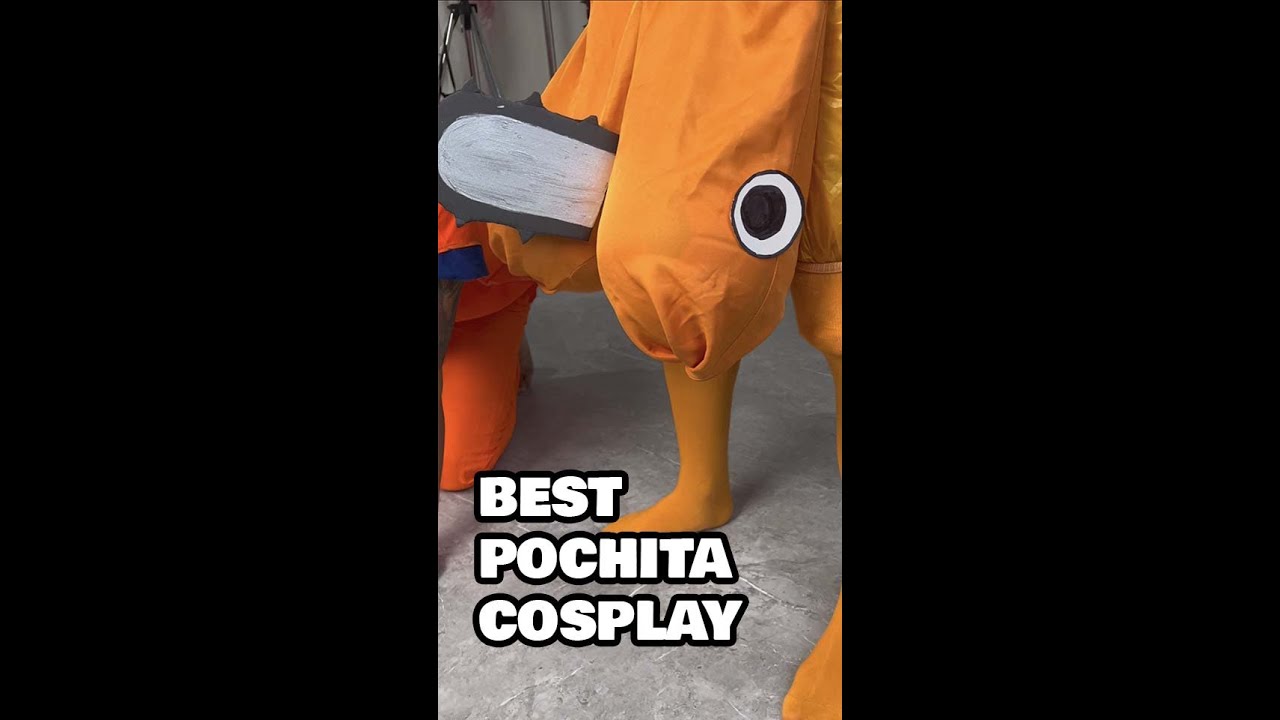 Best Pochita Cosplay, last one won the internet - YouTube