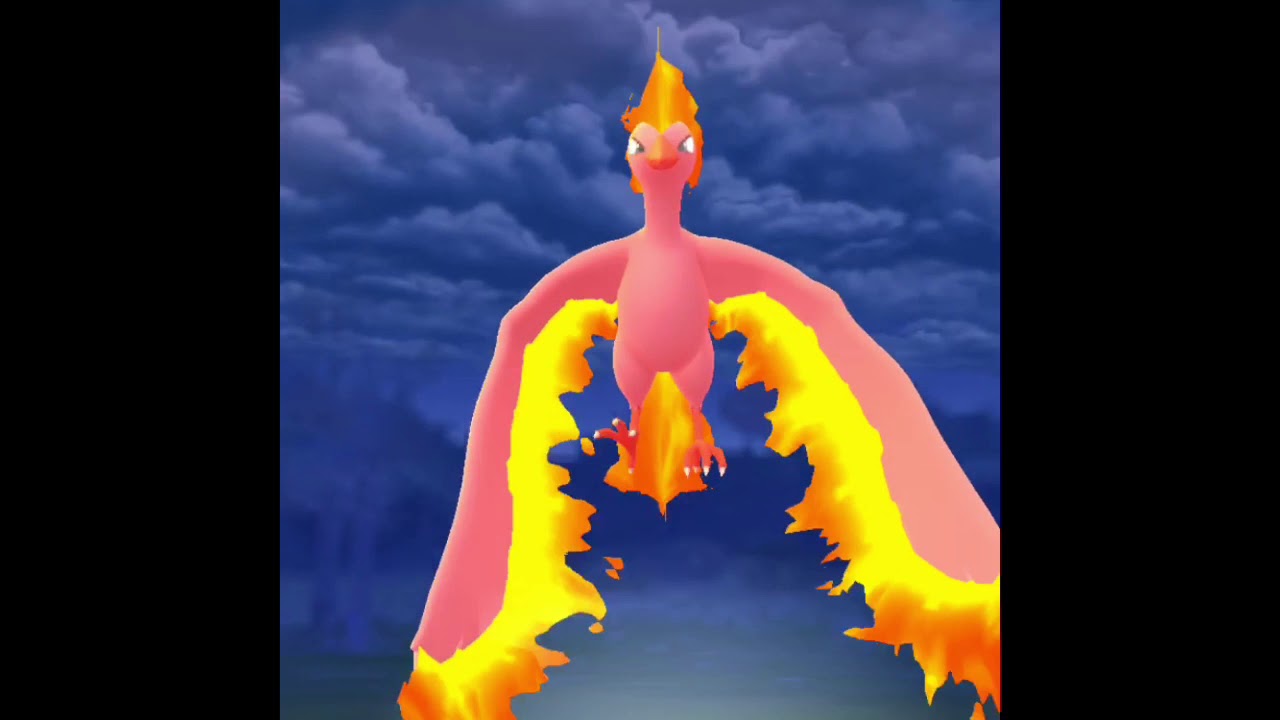 Shiny Moltres!!! | Pokémon GO - YouTube