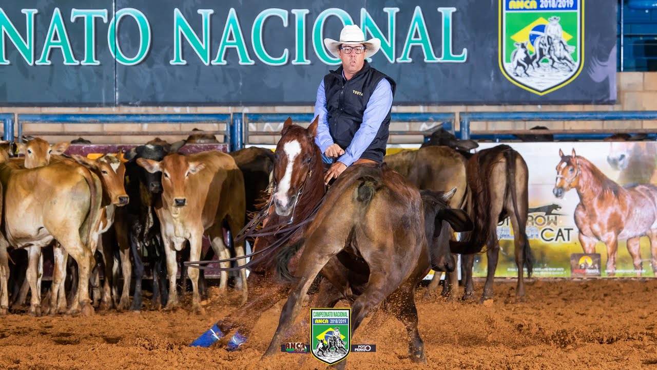 Campeonato Nacional ANCA 2018/2019 - Campeão Amador Classic - YouTube