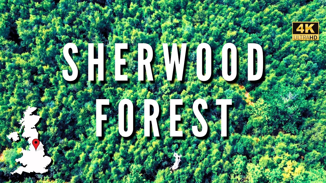 Discover Sherwood Forest’s Rich History from Above, Stunning 4K Drone ...