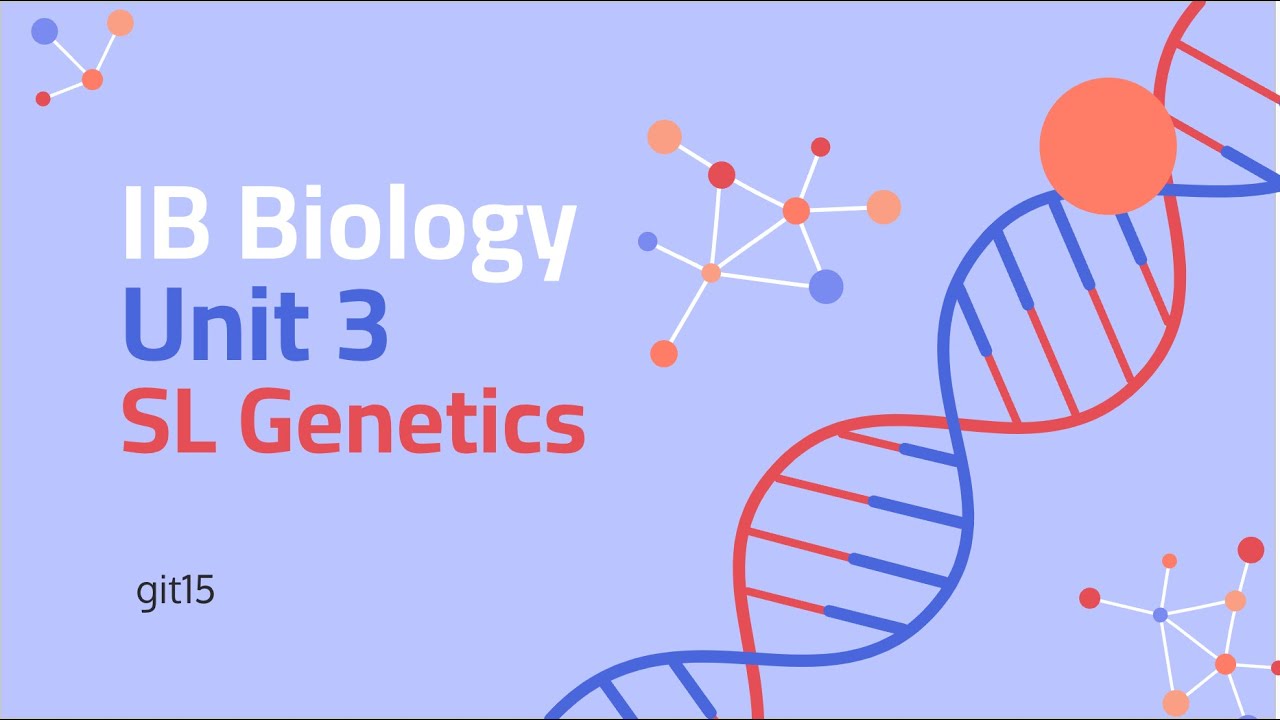 3 - Genetics SL | Biology Revision Session - YouTube