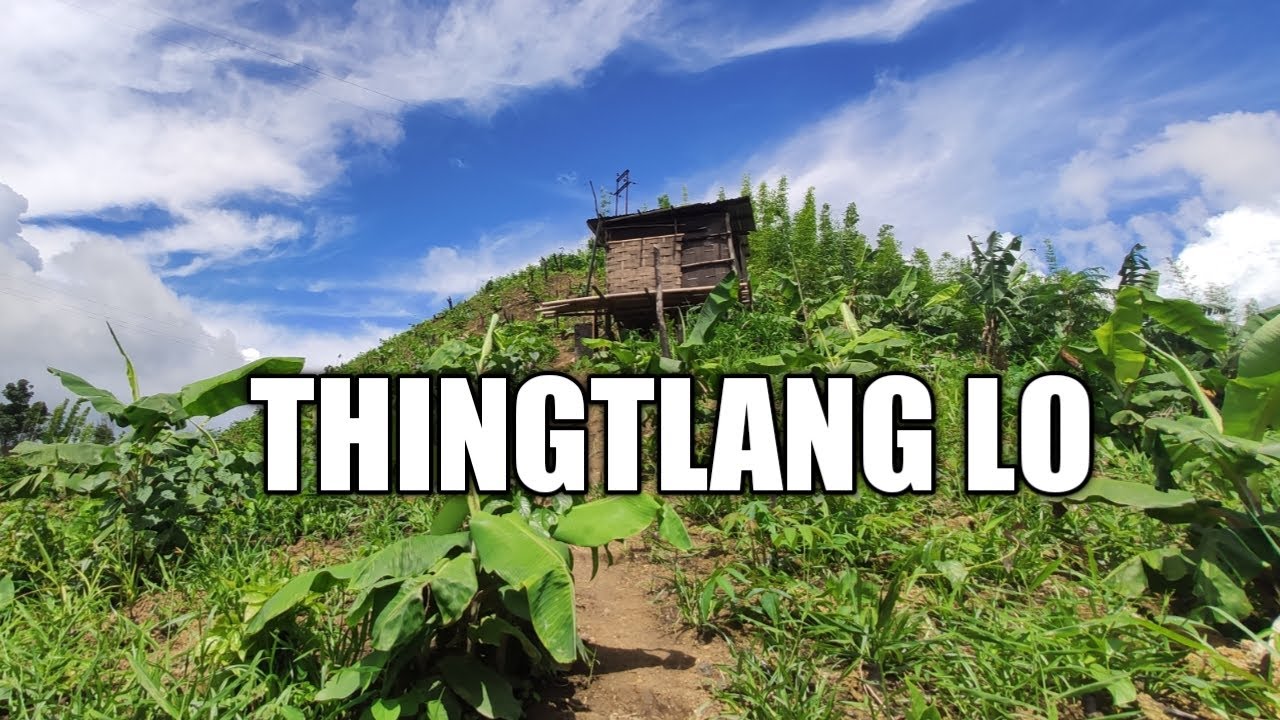 Mizo Lo leh Dragon Fruits huan tlawhna Vlog - YouTube