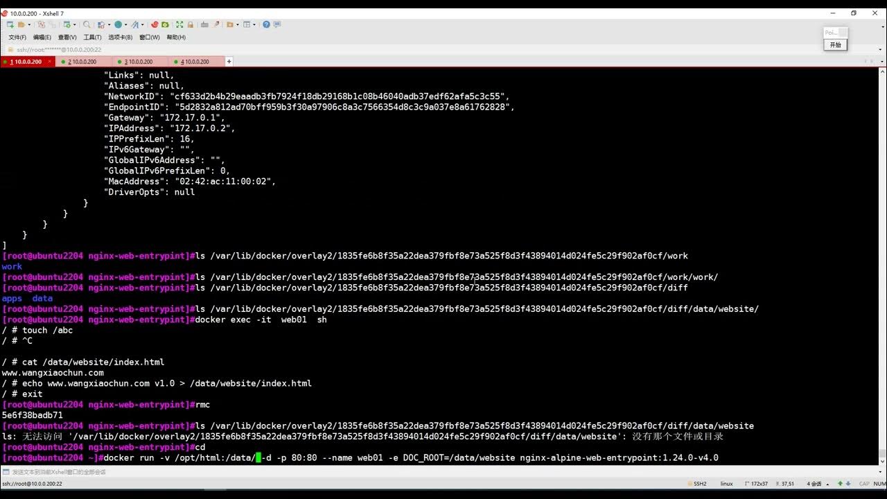 (拼课加V：itstudy1024) 慕课C++中高级工程师1 - YouTube