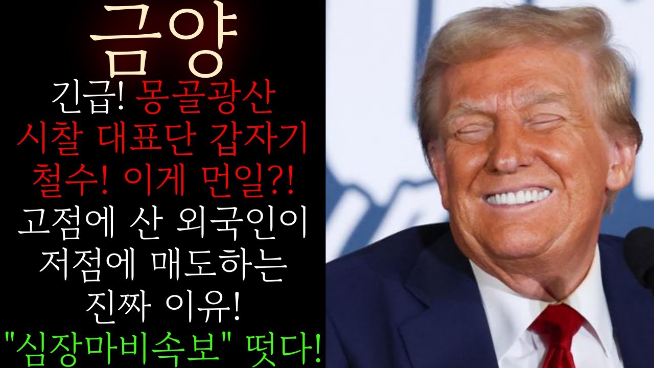 ๐ต ๊ธ์ ๊ธด๊ธ ํฌ์ํ๊ธฐ์ข
๋ชฉ ์ง์ ์์  ๊ธ๋ฝ ์ ํ์ฆ๊ถ 40๋ง ๋งค๋๋ฌผ๋ ๋๊ธฐ ๋ฐ๋ฑ๊ตฌ๊ฐ ํ์ธํ์
์ผ ํฉ๋๋ค ์ด ๊ฐ๊ฒฉ ๊ฐ๋ฏธํธ๊ธฐ๋ผ๊ณ  ์๊ฐํ๊ธฐ๋ณด๋จ ํ์ค์ ์ผ๋ก ํ๋จ ๊ธ์๋ชฉํ