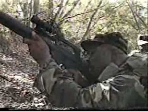 Meet the Aimpoint M68 Close Combat Optic (CCO) - YouTube