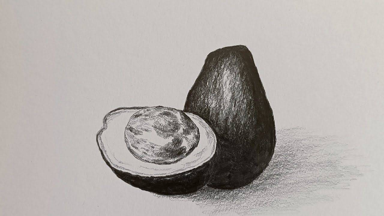 How to draw Avocado - step by step | Pencil sketch | Still life drawing ...