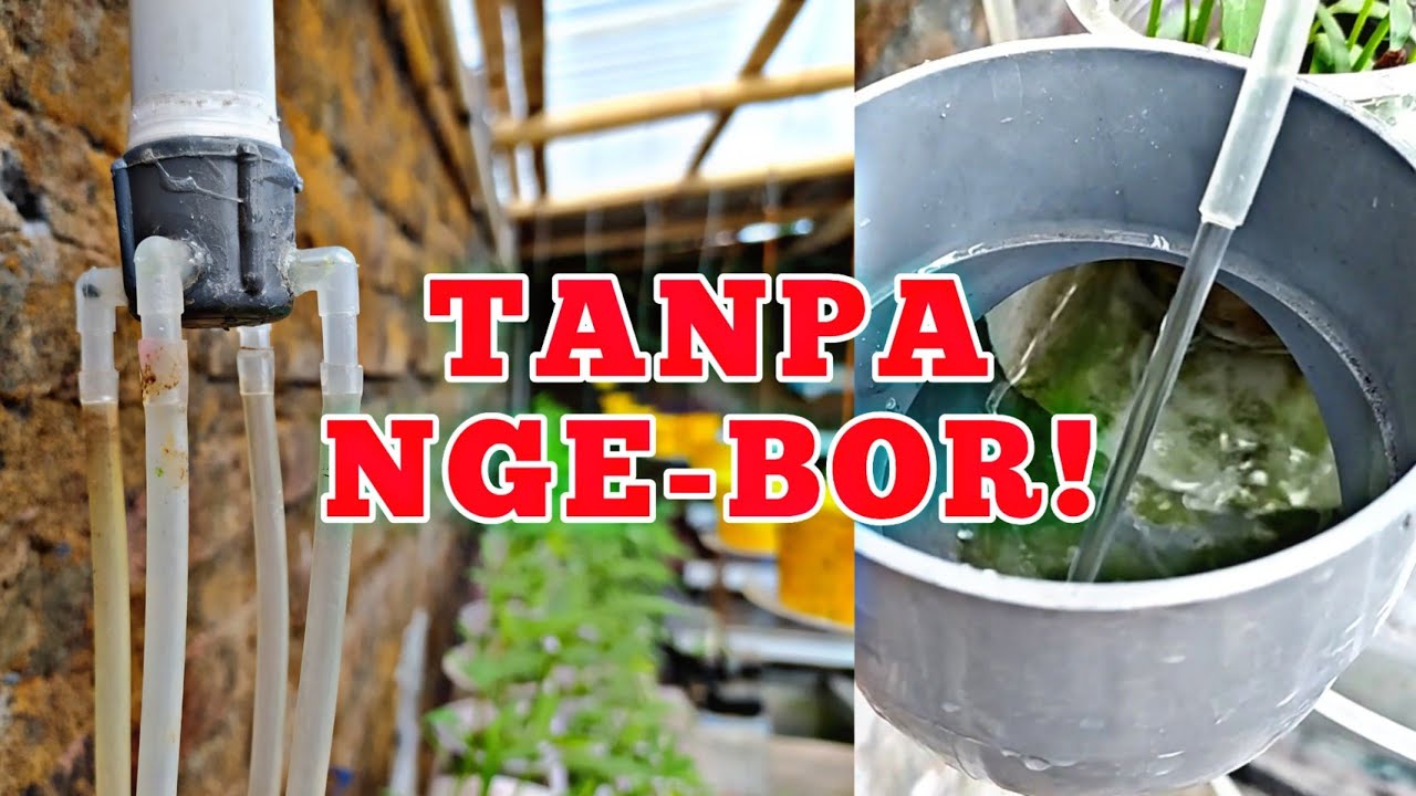 NUTRISI TERBAGI MERATA: Peran penting manifold dalam hidroponik - YouTube