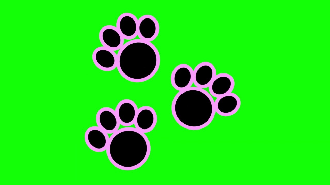 foot print green screen - YouTube