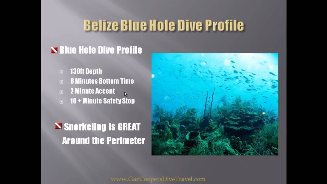 The GREAT Blue Hole of Belize Is It Really Worth Diving ? - YouTube