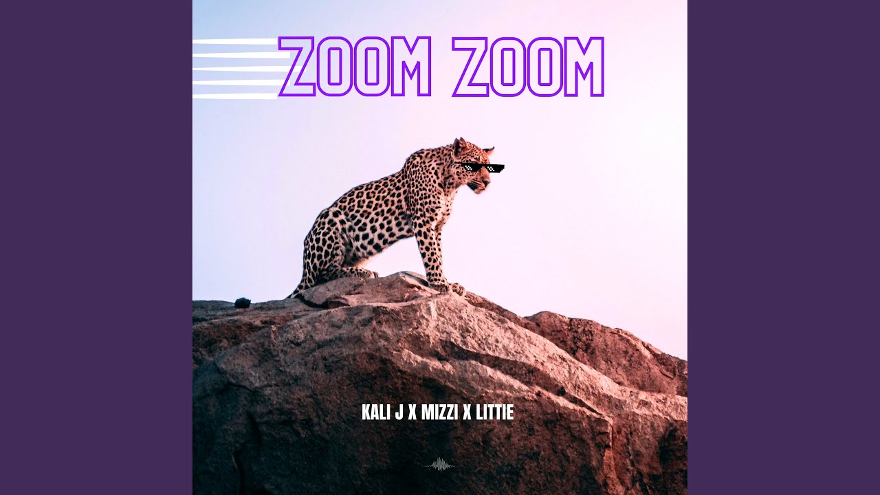 Zoom Zoom - YouTube Music