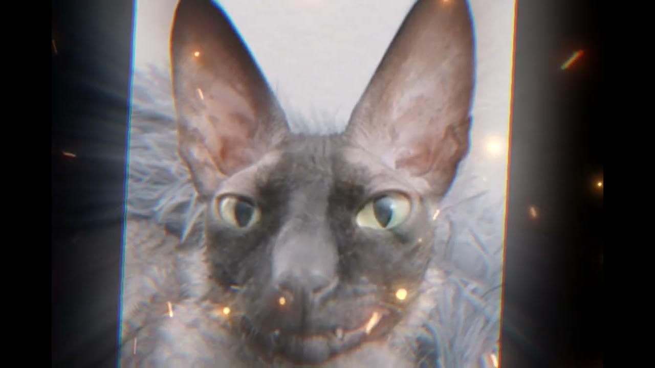 ядовитый и летучий, - YouTube