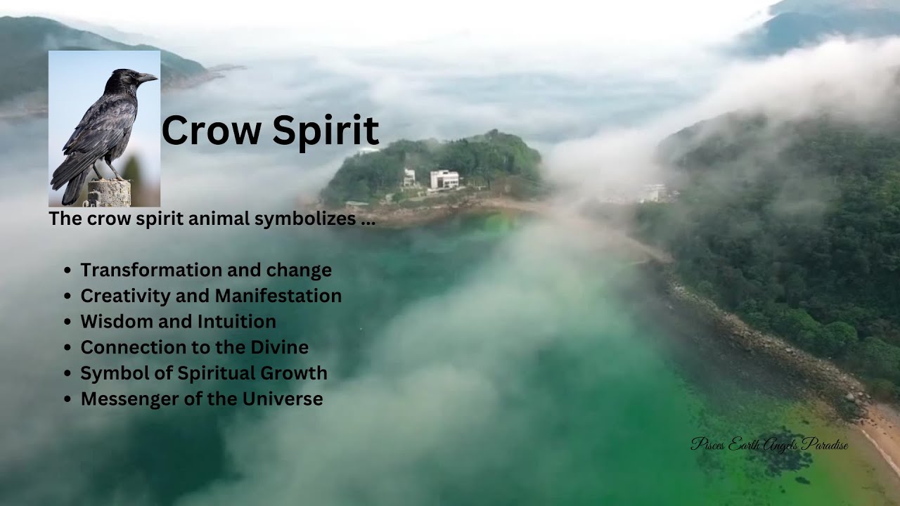 The Power of 7/7! Crow Spirit Visitation & New Beginnings #crowspirit ...