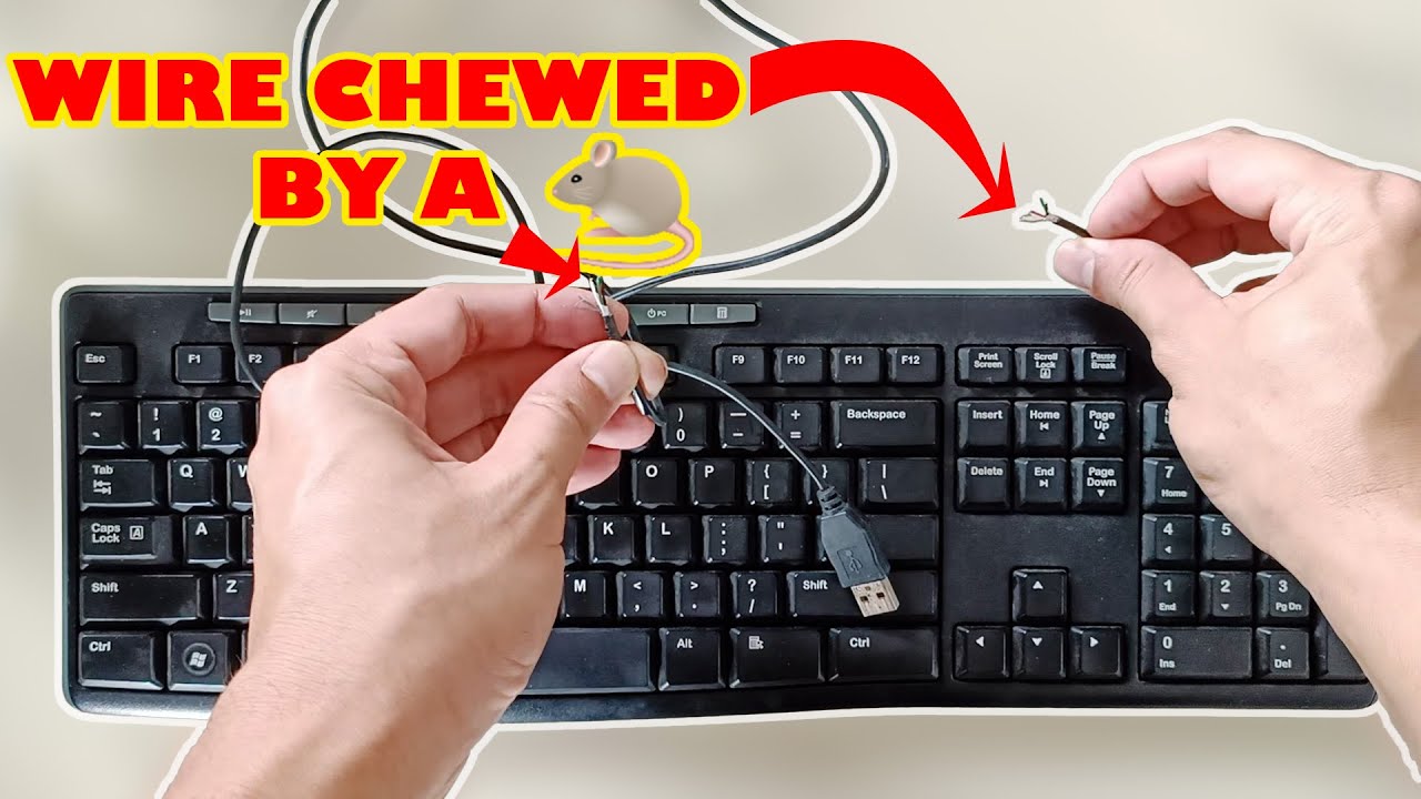 Repairing a Keyboard Wire Chewed by a Mouse - Step-by-Step Guide - YouTube