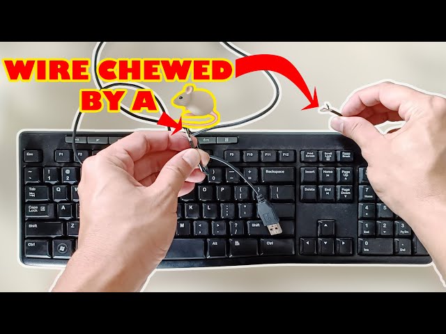 Damaged Keyboard Cord