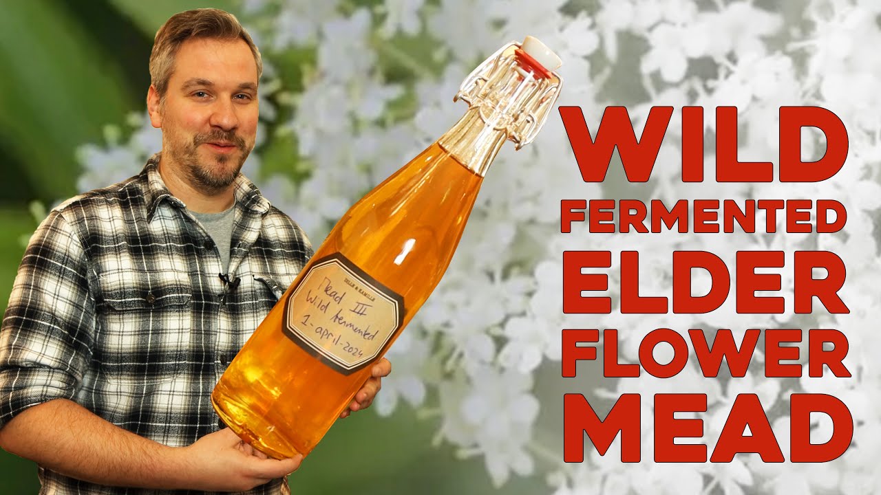 Wild Fermented Elderflower Mead - Making Mead Like a Viking! - YouTube