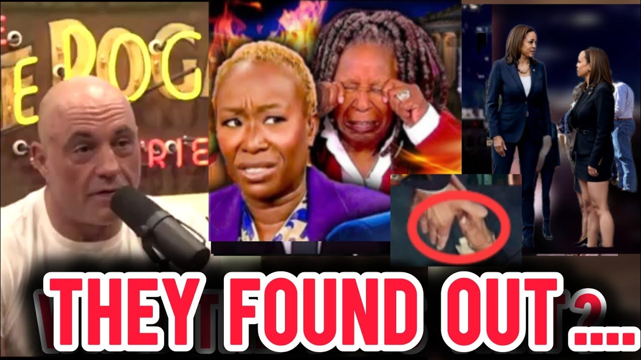 Joe Rogan LOSES His Mind After Finding Out They F** Air This on MSNBC ...