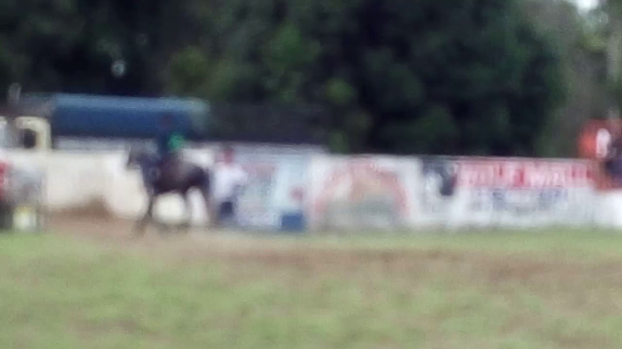 Rodeo de. Lazos conquistandores - YouTube