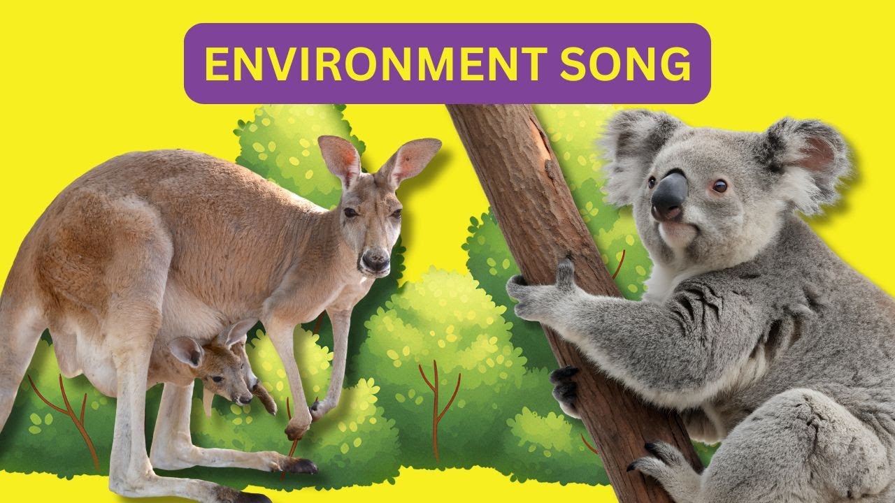 Environment Song | Take Care of the Planet | Kids Songs - YouTube
