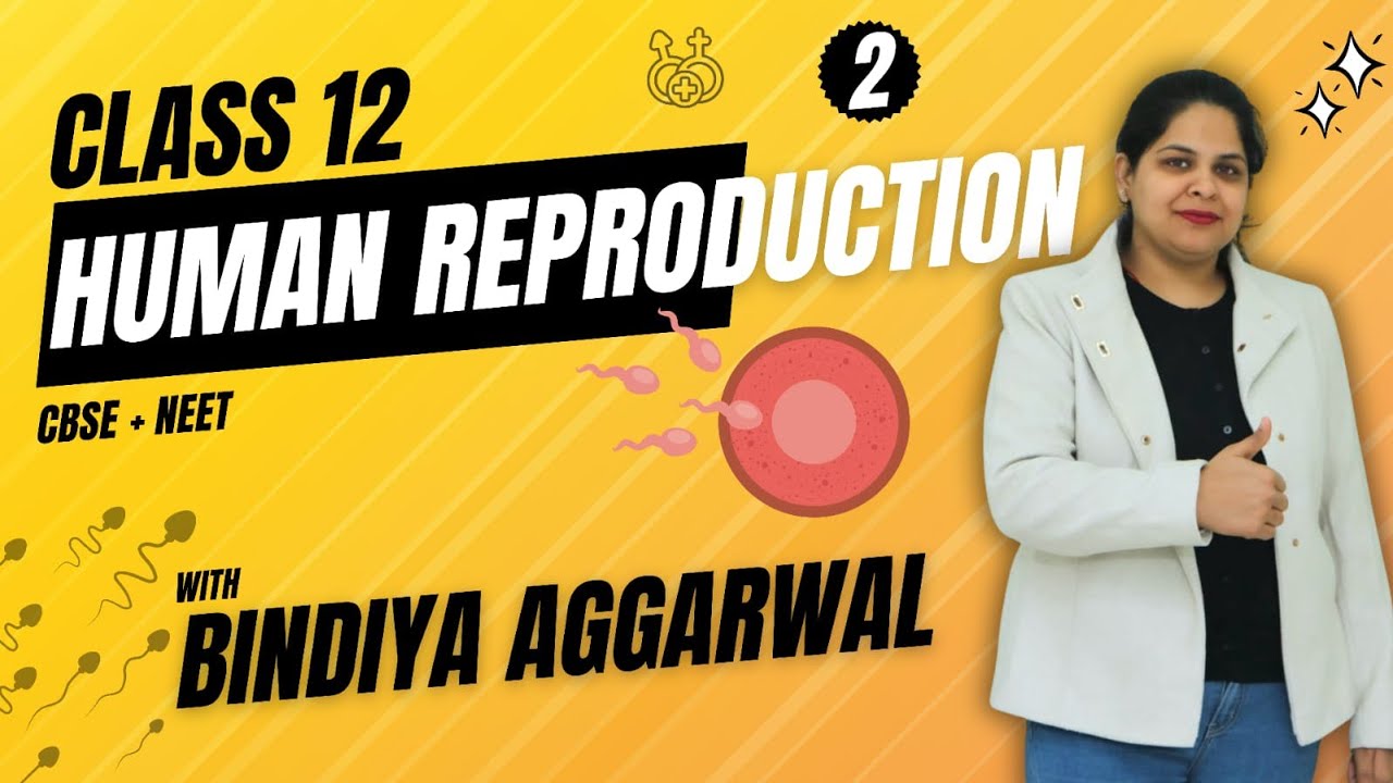 Human Reproduction | ncert | cbse | neet| class11| Biology | part 2 ...