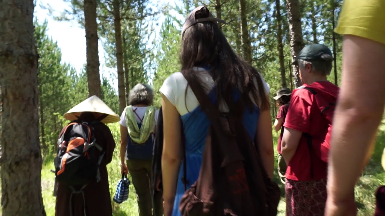 Plum Village Walking Meditation - YouTube