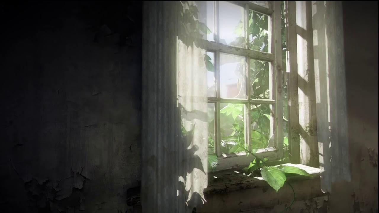 The Last of Us Window - YouTube