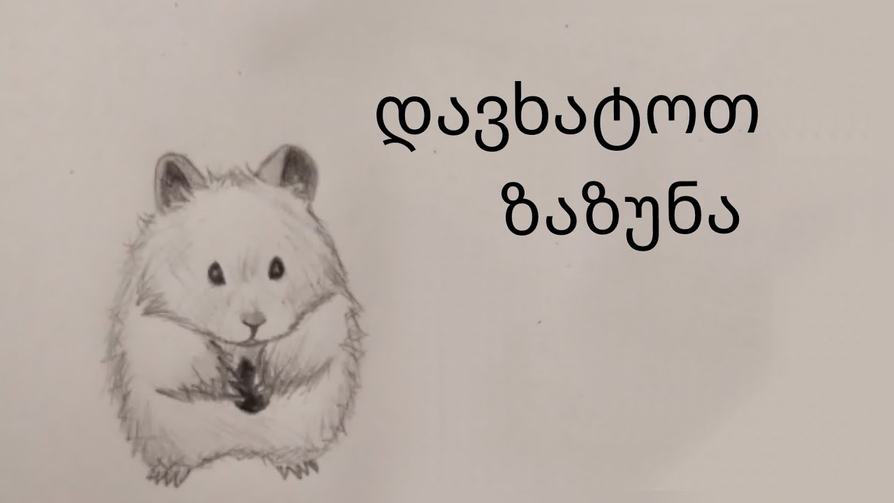 როგორ დავხატოთ ზაზუნა? 🐹 - YouTube