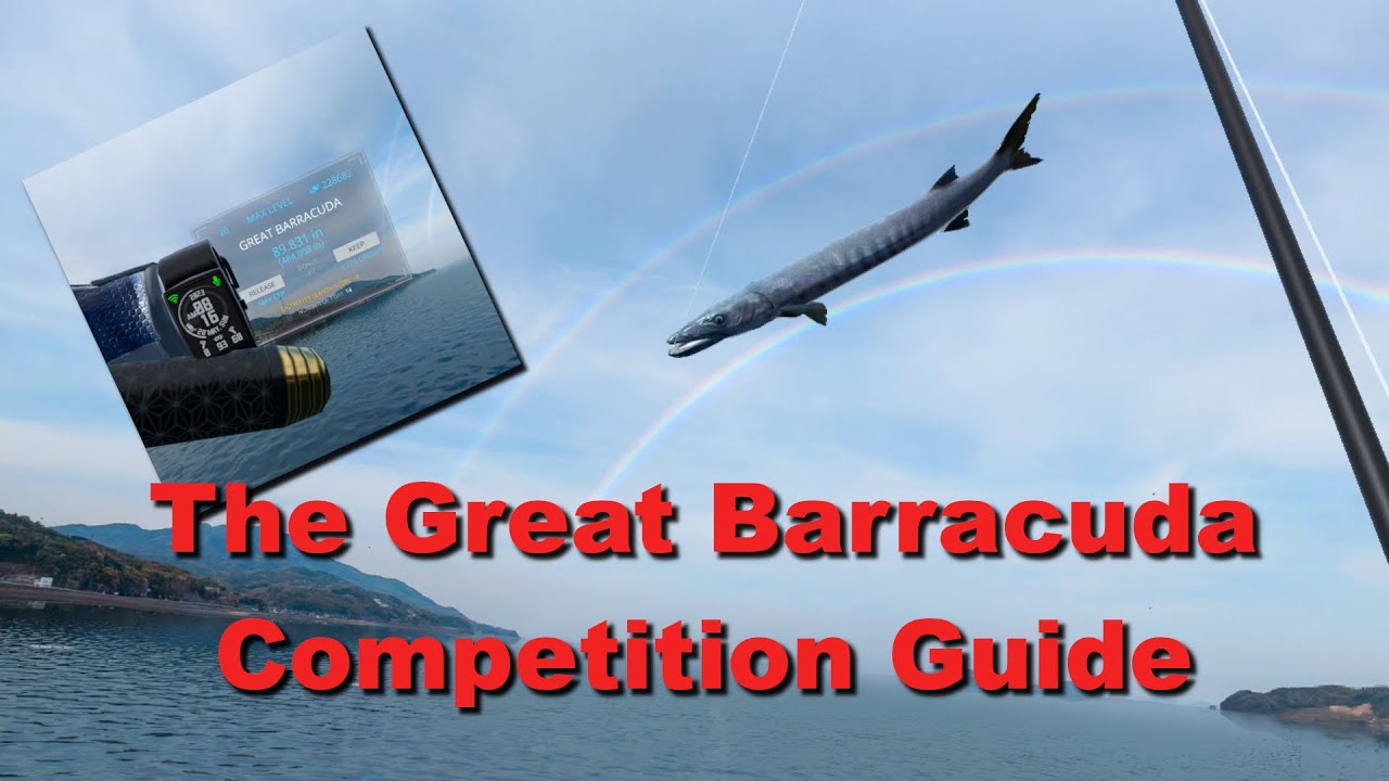 Hunting the Great Barracuda - YouTube