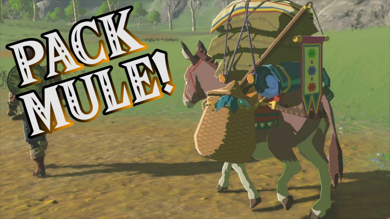 Breath of the Wild - NEW IMAGE OF TRAVELER & PACK MULE! - YouTube