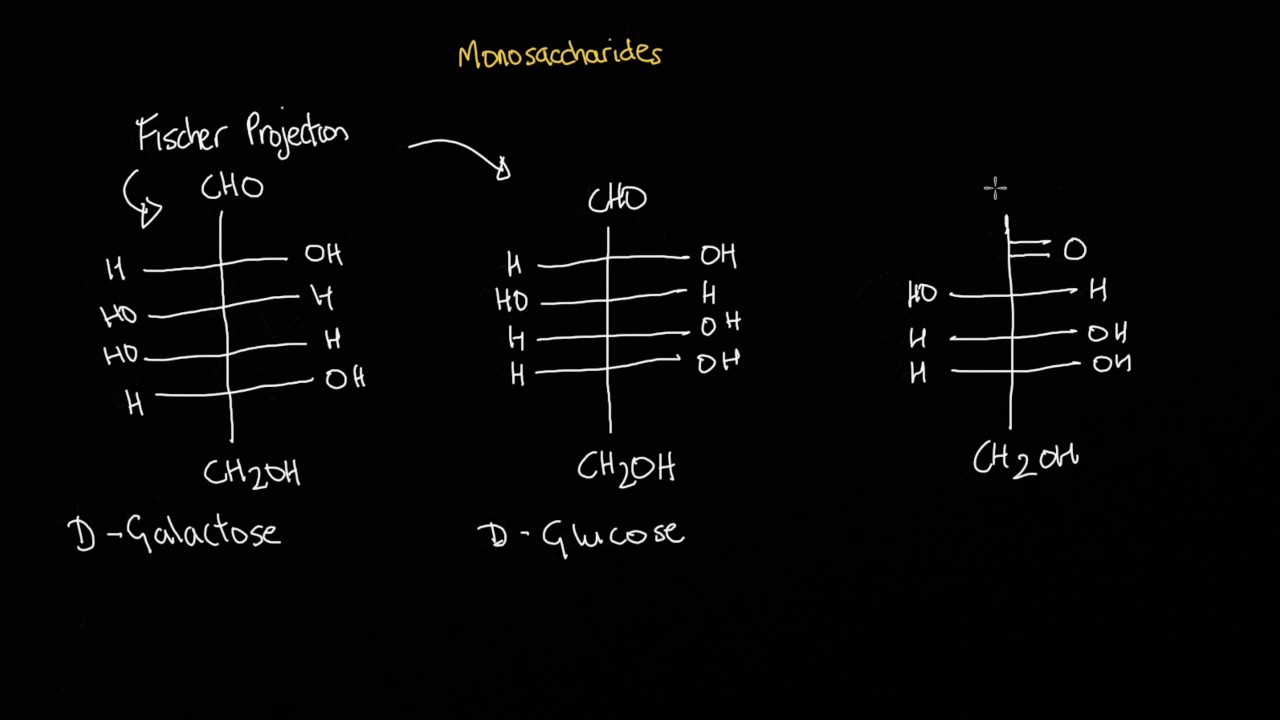 Monosaccharides Structure And Function