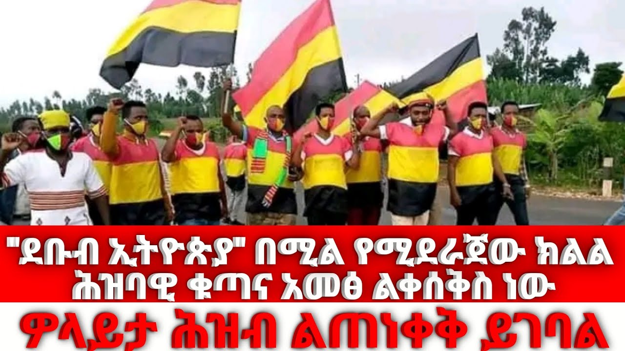 የደቡብ ኢትዮጵያ ክልል አስተዳደር ማዕከል ዎላይታ መሆን የሚያመጣው ጉዳት Youtube