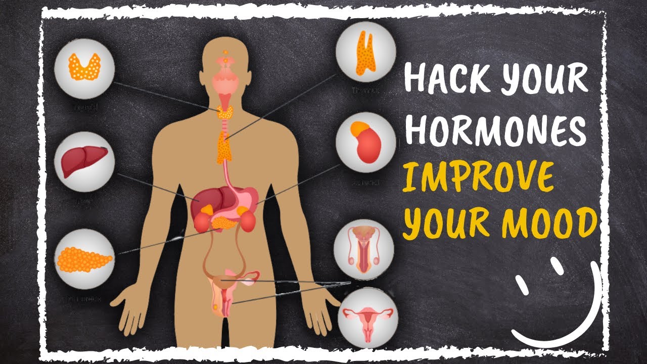 How To Hack Your Hormones To Improve Your Mood - YouTube