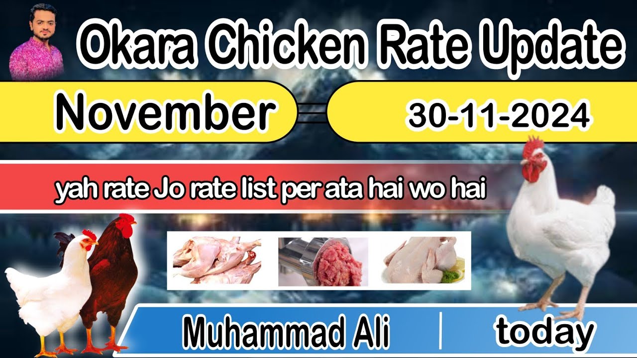 chicken rate today, chicken rate okara. how to check chicken rate today ...