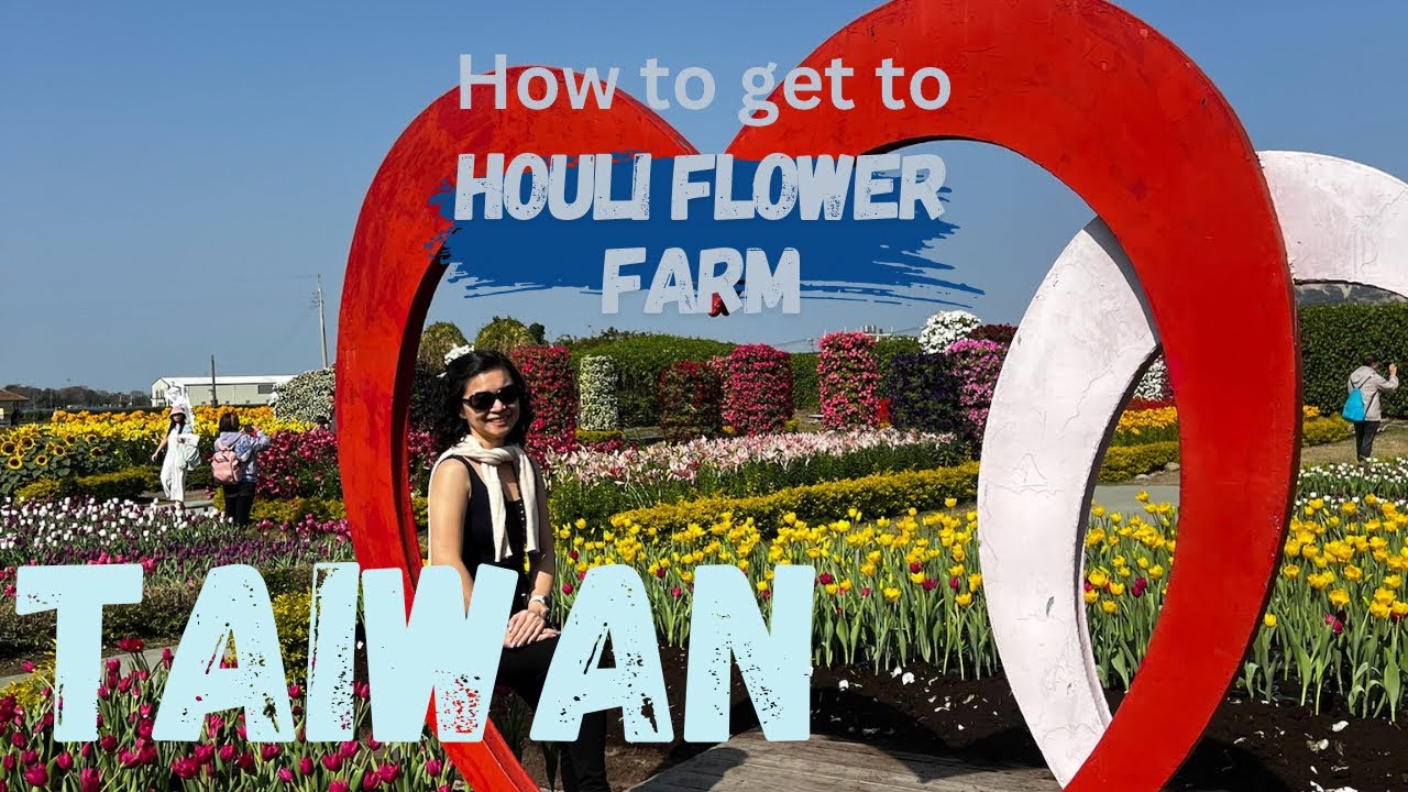 How to get to Houli Flower Farm / Zhongshe Flower 🌺 Market DIY From ...