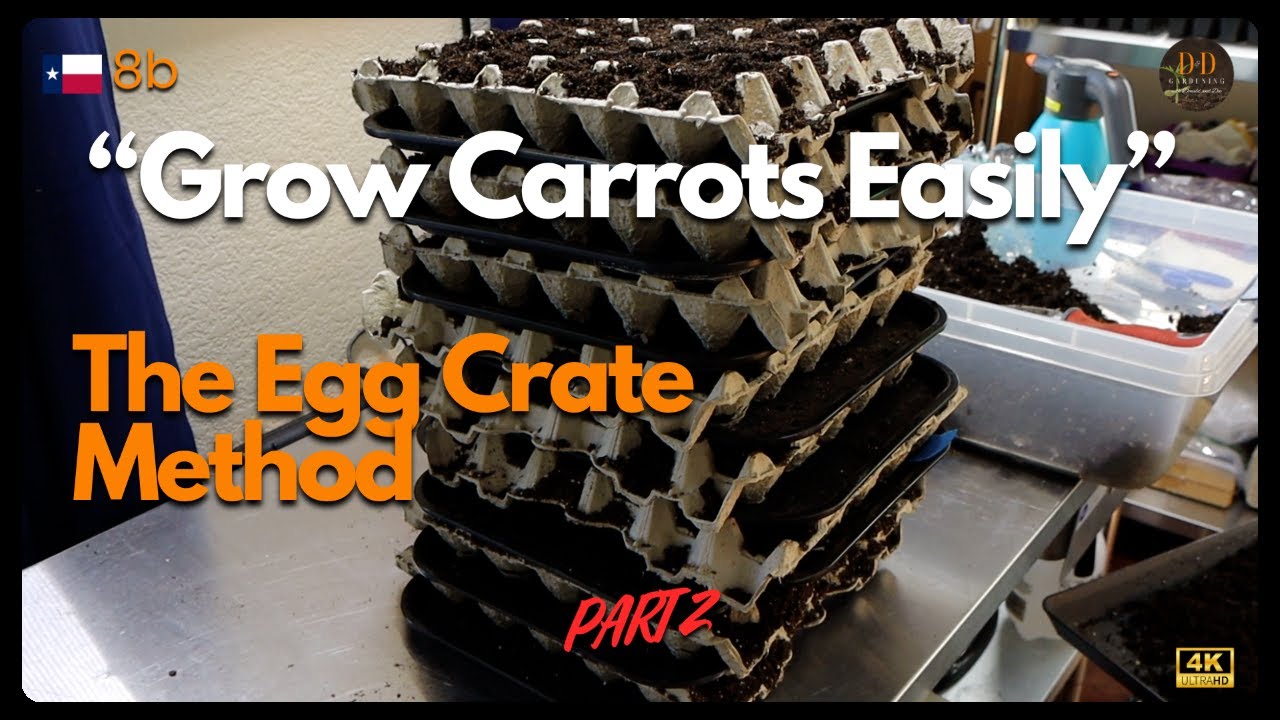 The Egg Crate Method (part 2) - YouTube