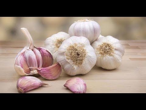 Los beneficios que te aporta un diente de ajo diario - YouTube