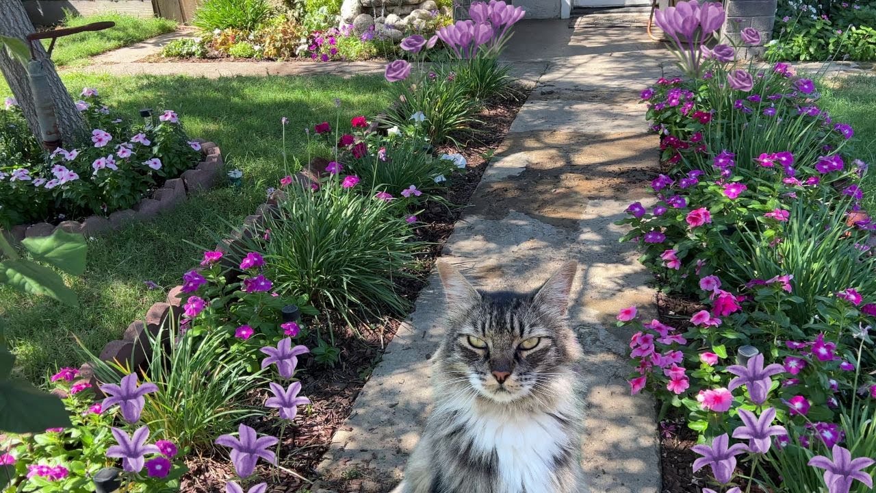 September Front Yard Garden Tour - Another Heat Wave!!! - YouTube