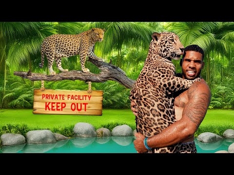 Private Tour of the Rarest Rescue Big Cats in India