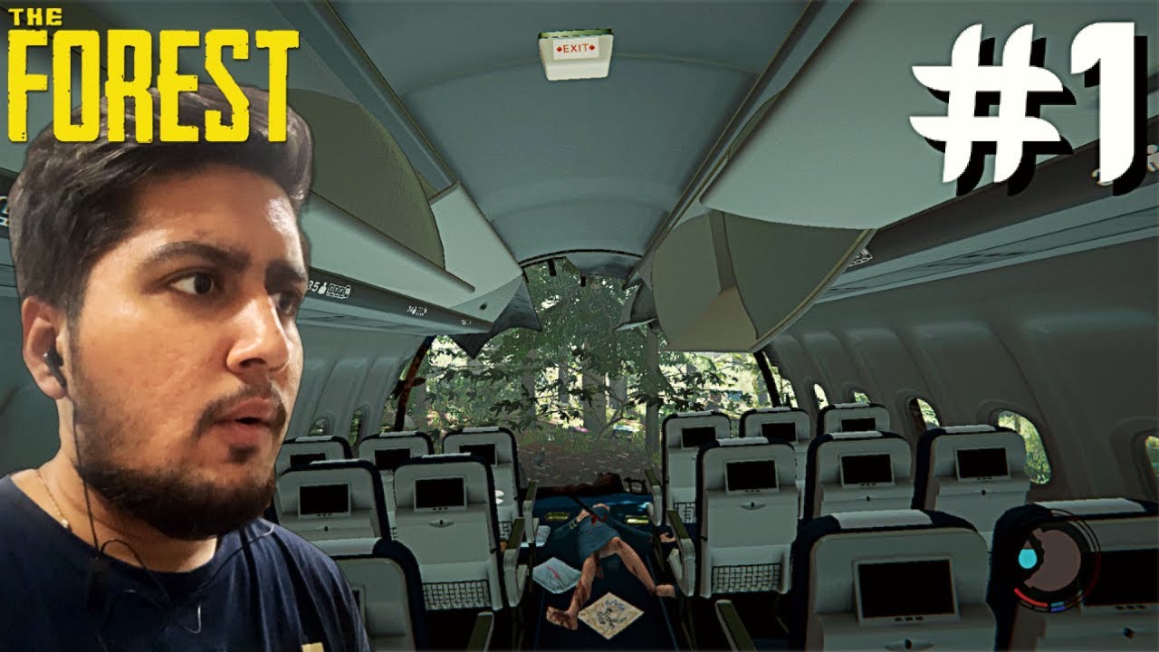 THE FOREST Gameplay | Part 1 - OUR PLANE GOT CRASHED 😲 | Hindi - YouTube