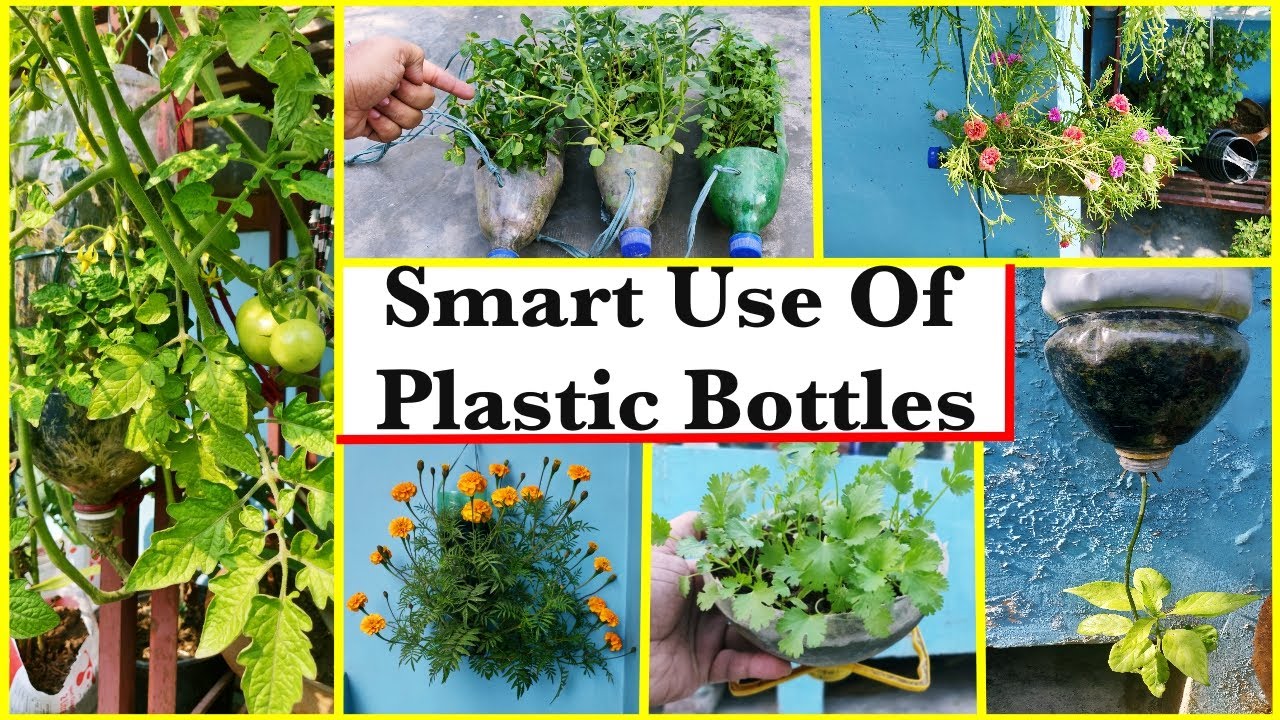 Grow Plants in Plastic Bottles: Creative Gardening Ideas for Your Home ...