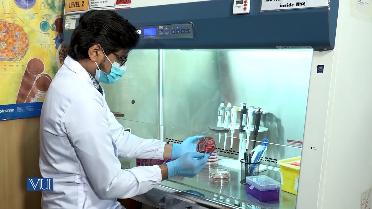 Culturing of Bacteria in Liquid Medium | Microbiology (Practical ...