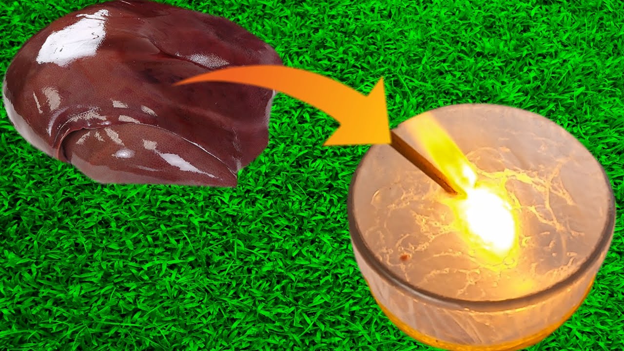 Amazing science experiment with Pig Liver to make a lot of Oxygen - YouTube