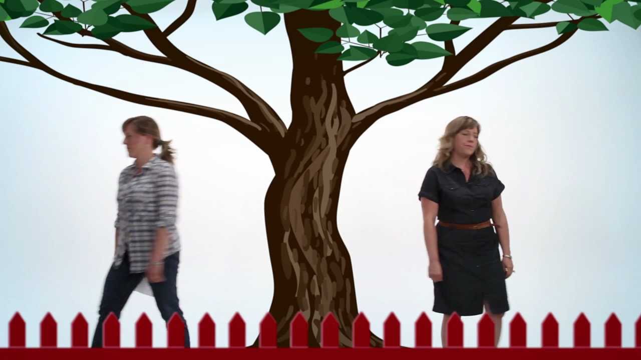 Educaloi.TV #17 - Trees and Neighbourly Relations - YouTube