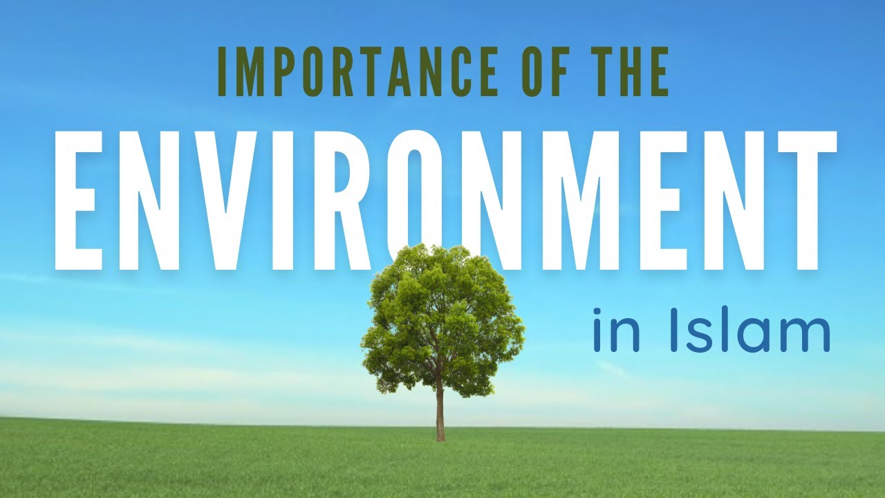 Importance of the Environment in Islam -The Peace Talk - Ep 54 - Sep 21 ...
